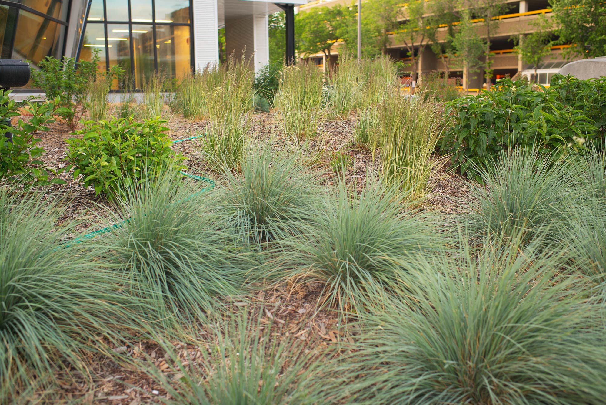 Valley Landscape Inc – Expert Landscaping Services in Edmonton, Alberta ...